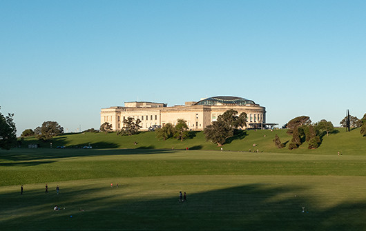 The Domain Collection